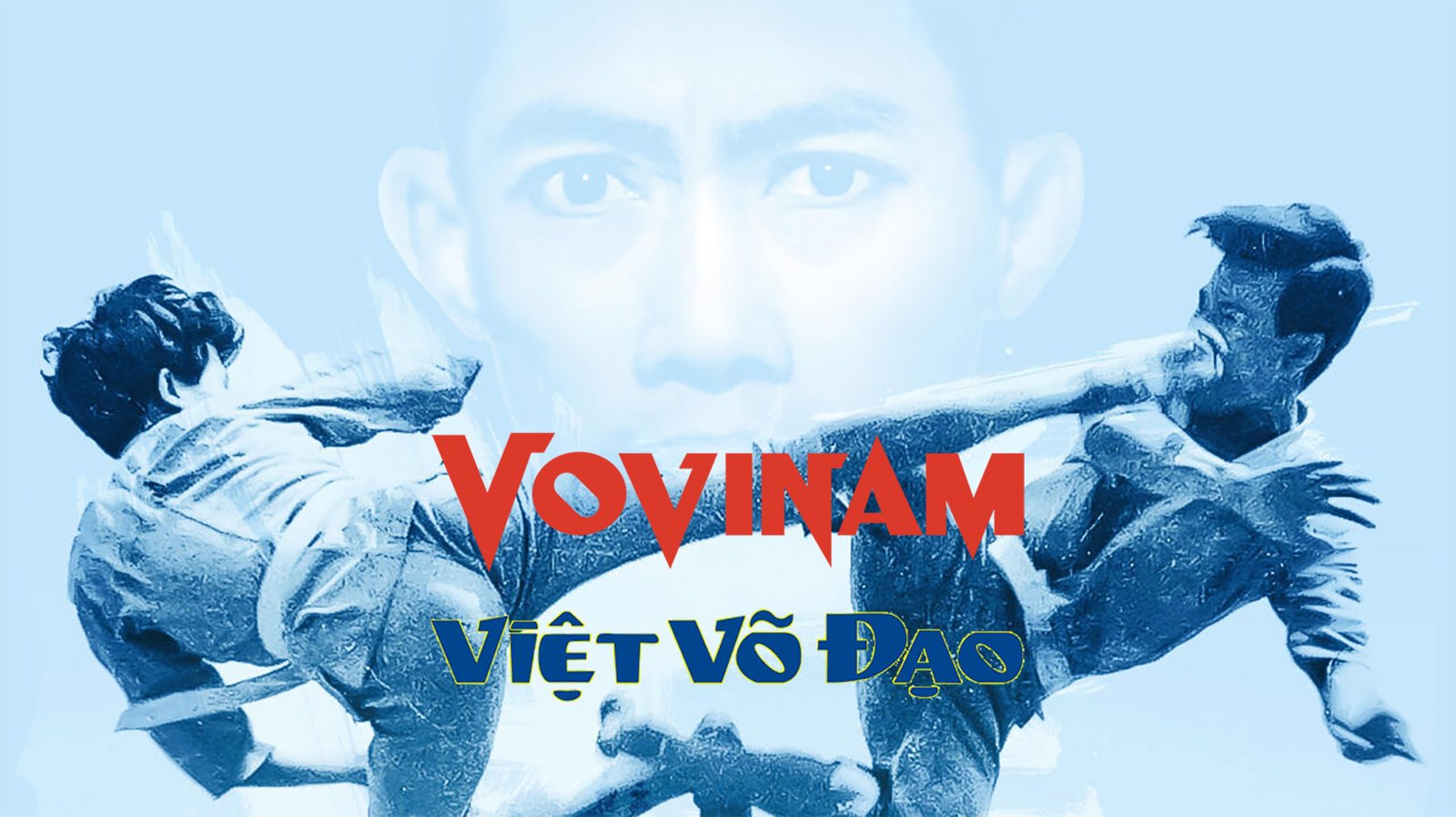 Home – Vovinam – Việt Võ Đạo