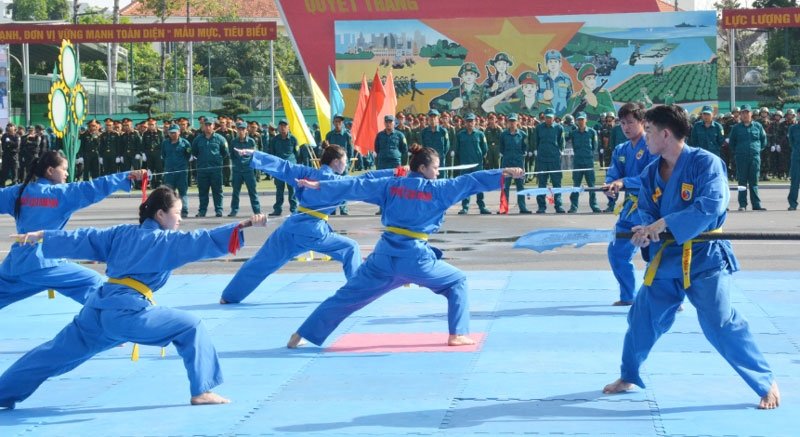 Vibrant Vovinam Martial Arts Training Movement